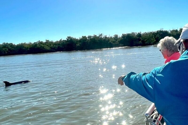 Best of Marco Dolphin Tour - Who Should Consider This Tour?