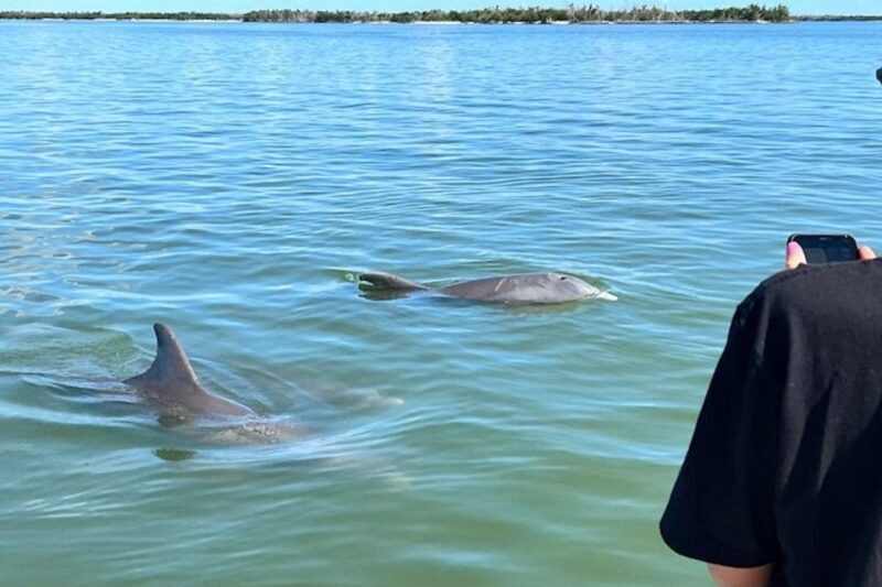 Best of Marco Dolphin Tour - FAQs