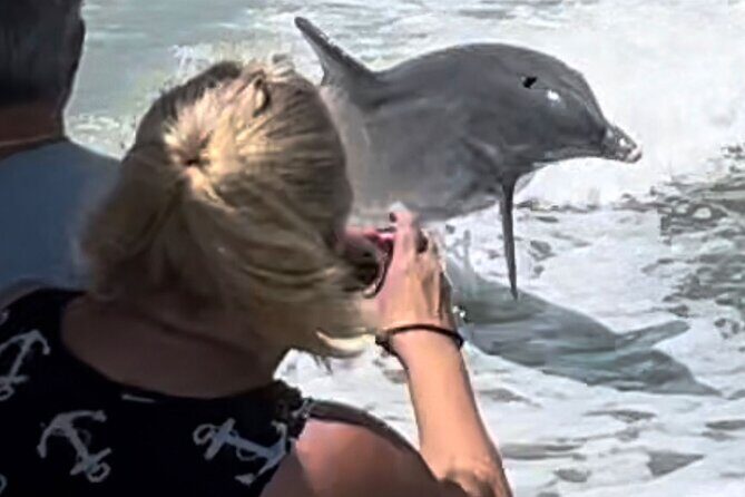 Best of Marco Island Dolphin Tour - Why the Best of Marco Island Dolphin Tour Works