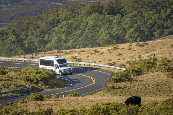 Best of Maui Tour: Sips, Sites and Bites with Lunch - FAQs