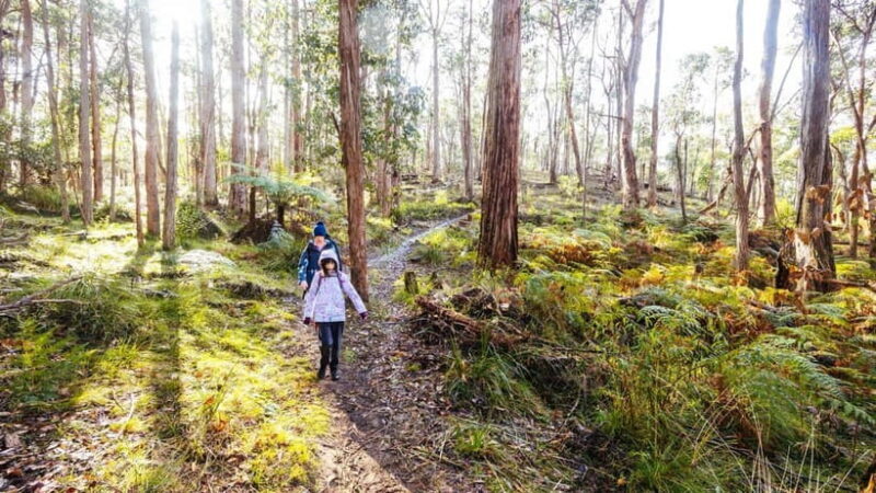 Best of Melbourne: Private Walking Tour with a Local - FAQ