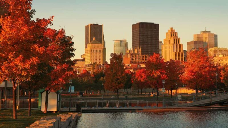 Best of Montréal: Private Walking Tour with a Local - The Sum Up