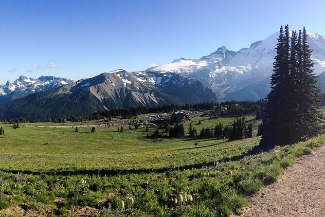 Best of Mount Rainier National Park from Seattle: All-Inclusive Small-Group Tour - The Guides: Knowledgeable, Friendly, and Adaptive