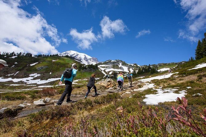 Best of Mount Rainier National Park from Seattle: All-Inclusive Small-Group Tour - Final Thoughts