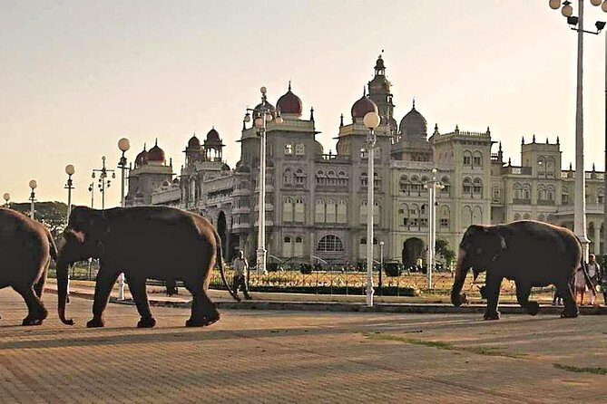 Best of Mysore/Mysuru, Somnathpur & Srirangapatna in a Day - Exploring the Itinerary in Detail
