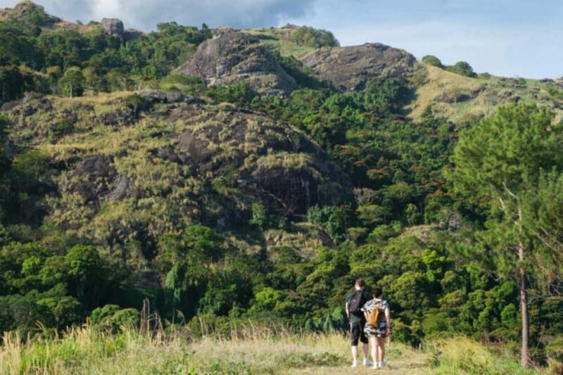 Best of Nadi Highlights - Key Points