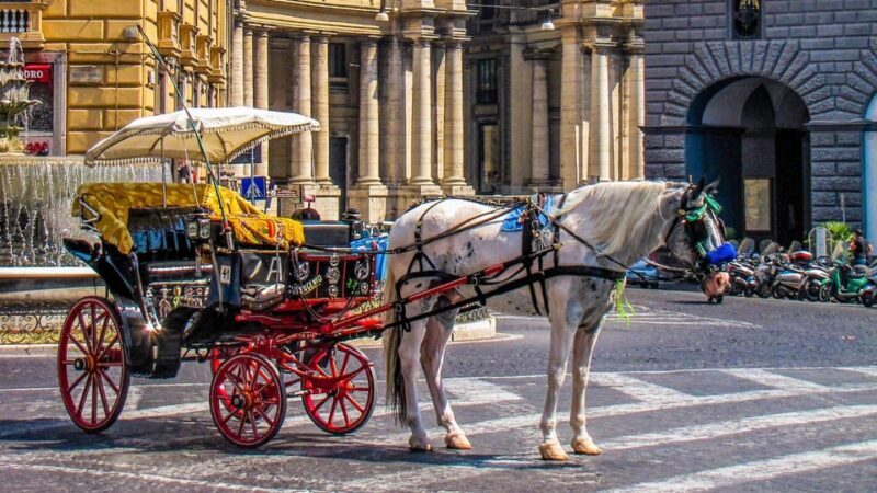 Best of Naples: Private Walking Tour with a Local - Who Should Consider This Tour?