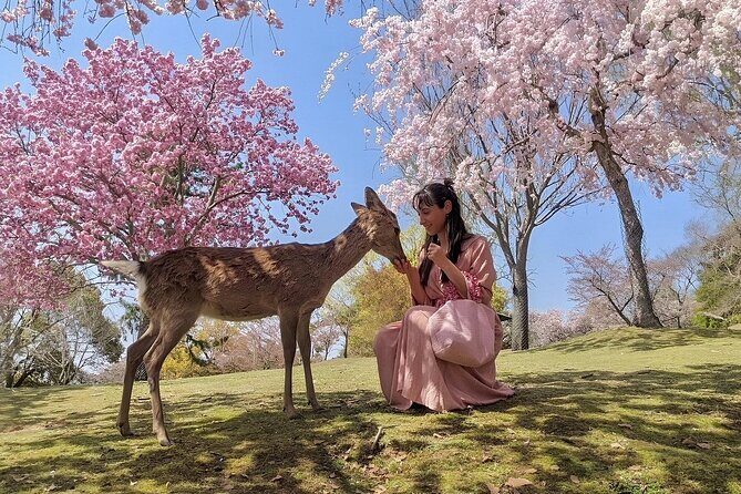 Best of Nara in Full Day Todaiji, Deer Park &Buddha Private Tour - Final Thoughts