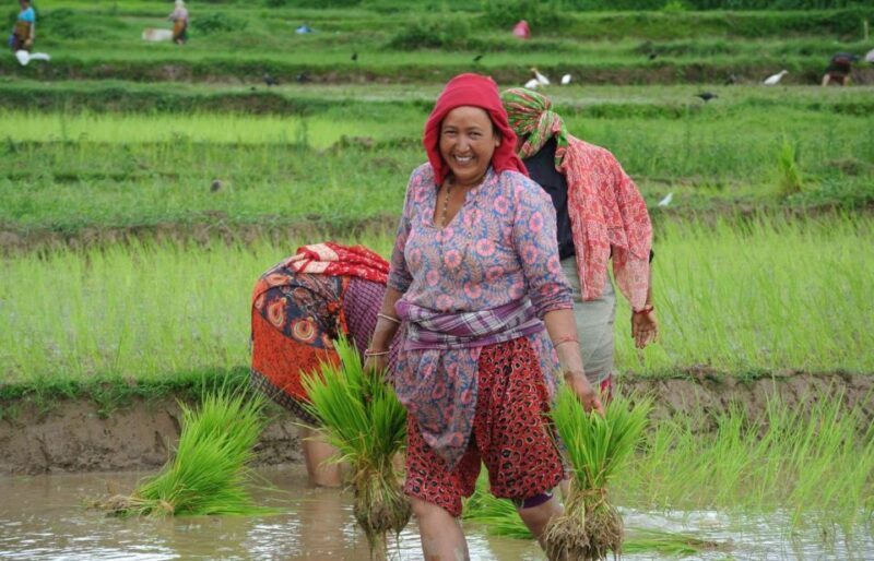 Best of Nepal & Bhutan Tourspectacular view  14 Days Tour - Key Points