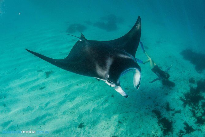 Best of Ningaloo Mantas and More - A Closer Look at the Itinerary