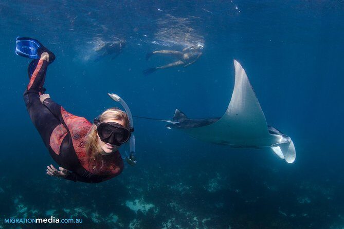 Best of Ningaloo Mantas and More - Who Is This Tour Best For?
