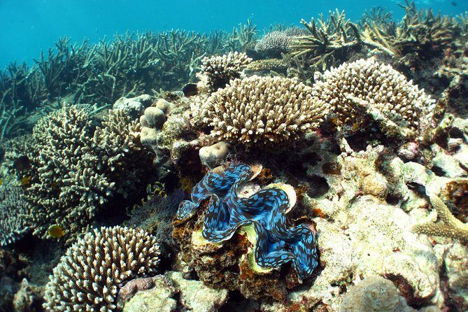 Best of Ningaloo Mantas and More - Final Thoughts