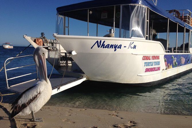 Best of Ningaloo Mantas and More - Who Should Consider This Tour?