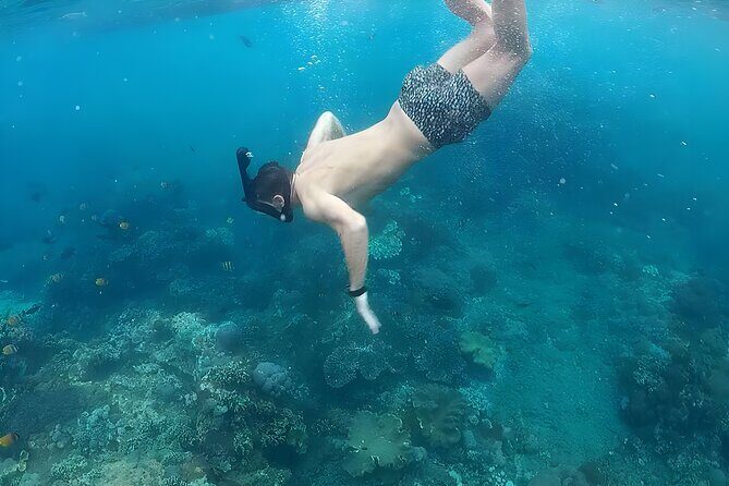Best of Nusa Penida Snorkeling: Manta Bay, Wall Point & Gamat Bay - FAQ