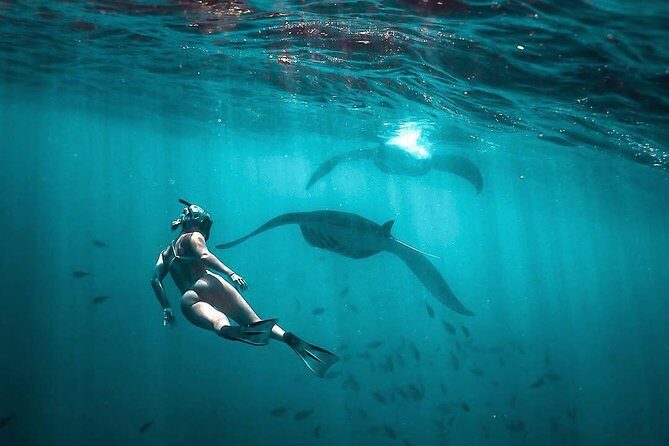 Best of Nusa Penida with Snorkeling Tour - Exploring the Best of Nusa Penida with Snorkeling: An Honest Review