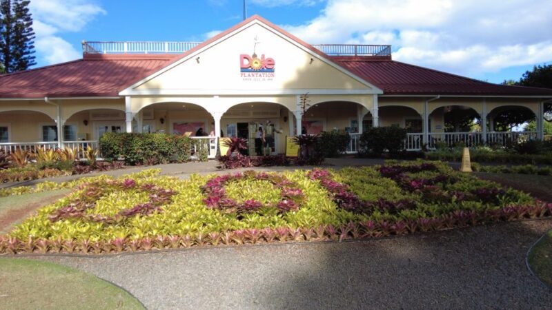 Best of Oahu in One Day - Transportation and Comfort