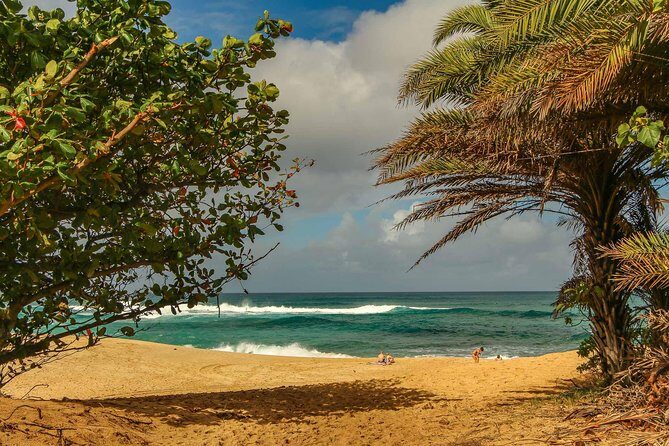 Best of Oahu: Pearl Harbor & Oahu Circle Island Tour from Waikiki - The Sum Up: Is It Worth It?