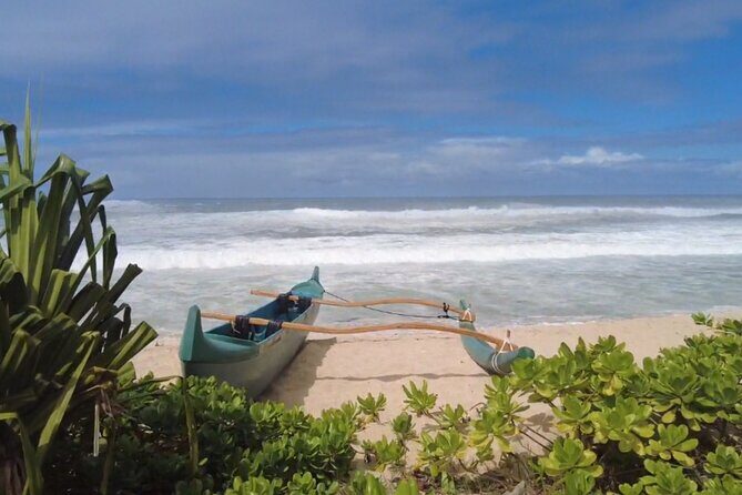 Best of Oahu's North Shore in small group (Se Habla Español) - Pineapples and Waterfalls