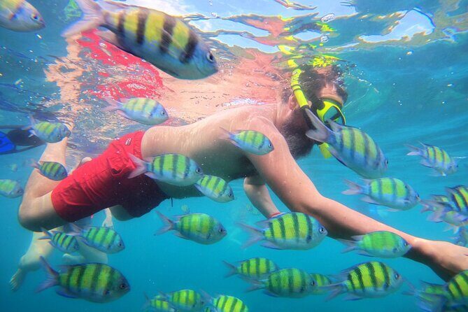 Best of Phi Phi Islands Snorkeling Tour from Phuket - Who is This Tour Best For?