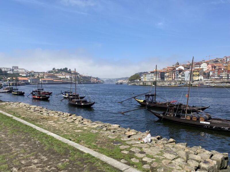 Best of Porto - Private Tour from Lisbon - Authentic Experiences and Practical Insights