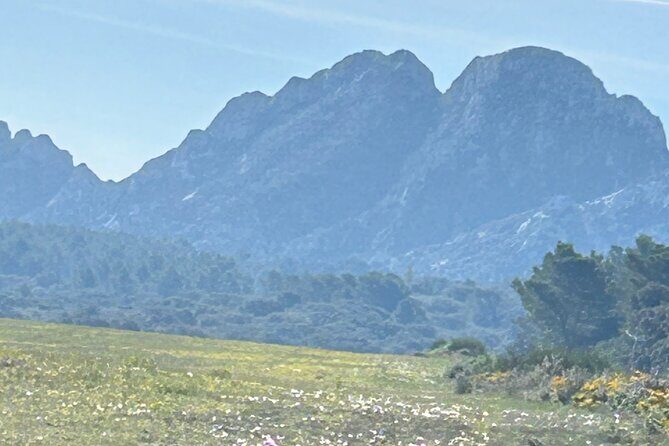 Best of Provence - The Experience of Traveling with Provence by Flore