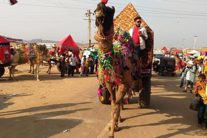 Best of Rajasthan India -Private Tour - FAQs