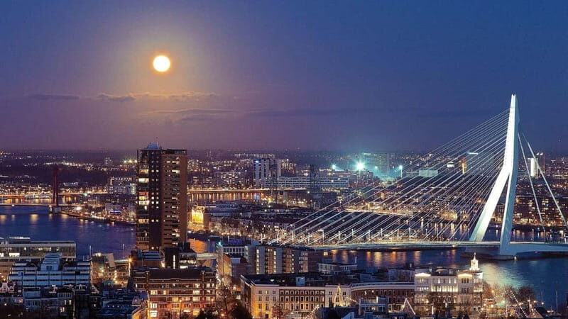 Best of Rotterdam: Private Walking Tour with a Local - Practical Details and Value