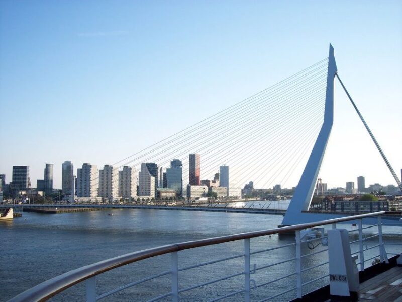 Best of Rotterdam: small-group walking tour - Who Will Love This Tour?