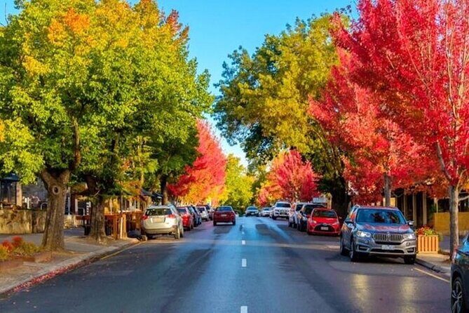 Best of SA Hahndorf & Victor Harbor Full-Day Tour - Final Word