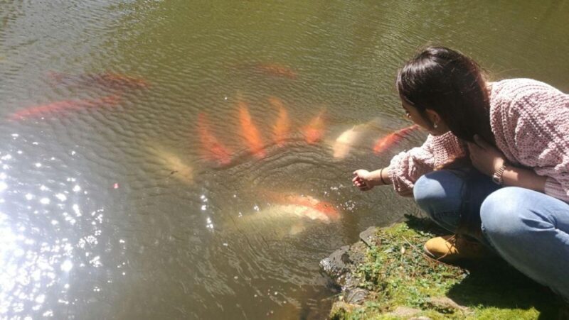 Best of São Miguel 2 Days Private Tour - Who Will Love This Tour?