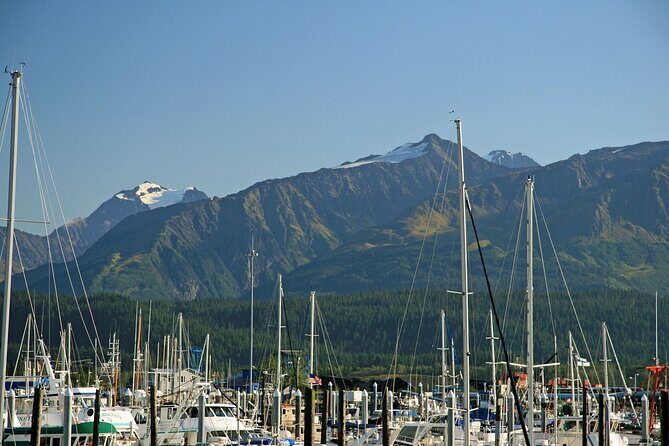 Best of Seward Alaska Full Day Tour - Exploring the Full Experience