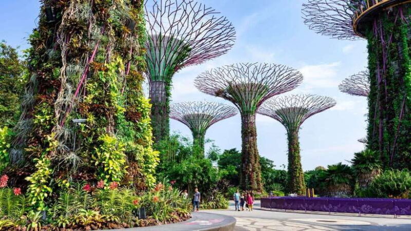 Best of Singapore: Private Walking Tour with a Local - Discover Singapore with a Personal Touch