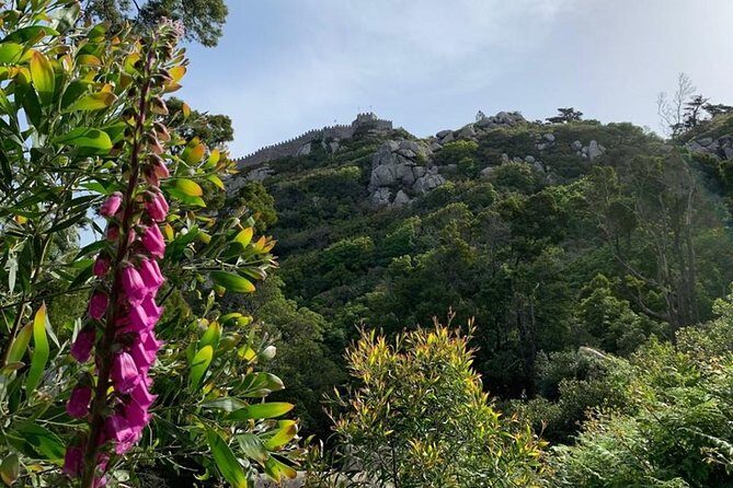 Best Of Sintra & Cascais with Locals - The Dramatic Cliffs at Roca Cape