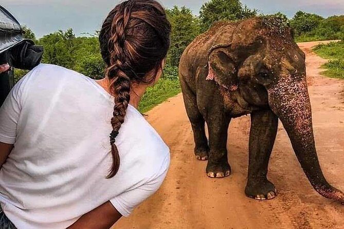 Best Of Sri lanka Tour (06 Days 05 Nights) - Kandy- N.Eliya -Bentota-Colombo - Key Points