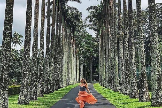 Best Of Sri lanka Tour (06 Days 05 Nights) - Kandy- N.Eliya -Bentota-Colombo - Final Thoughts: Who Is This Tour Best For?