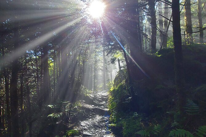 Best of the Smokies Custom Private Tour - FAQs