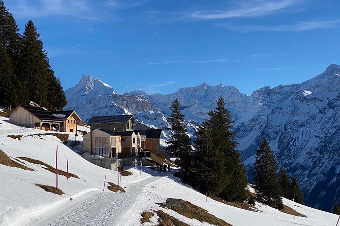Best of the Uri Alps: A fjord-like lake, glorious peaks and sustainable tourism - Who Should Consider This Tour?