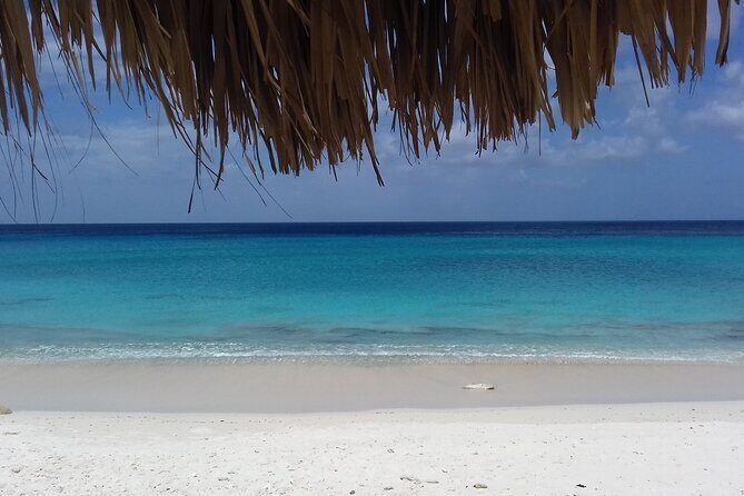 Best of the West: Shete Boka, Flamingos, Kalki Beach and Kenepa - Exploring the Best of the West: Shete Boka, Flamingos, Kalki Beach and Kenepa