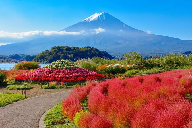 Best of Tokyo Affordable Budget 3 days Private Tour with Guide - Final Thoughts