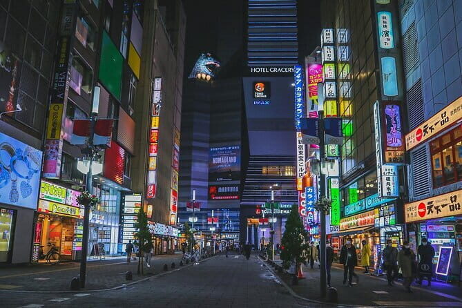 Best of Tokyo Affordable Budget 3 days Private Tour with Guide - Additional Notes