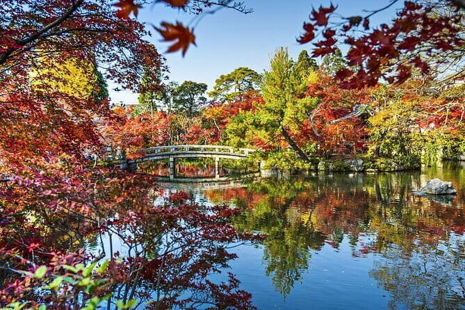 Best of Tokyo City Highlights Guided Tour - The Sum Up: Who Should Sign Up?