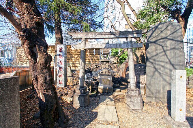 Best of Tokyo City Walking Tour for Kids and Families - What to Expect from This Tokyo Tour