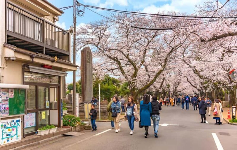 Best of Tokyo: Guided Full Day City Tour with Lunch - Discovering Yanaka’s Old-World Charm