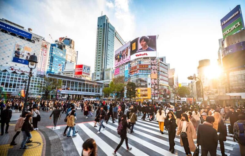 Best of Tokyo: Guided Full Day City Tour with Lunch - Practical Details and Value