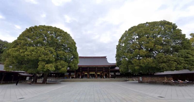 BEST OF TOKYO HIGHLIGHTS - WALKING TOUR PART 1 - Who Should Consider This Tour?