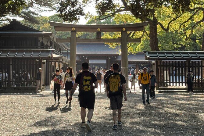 Best of Tokyo in a Day  Private Tour with Custom Options - Exploring Tokyo with Your Own Custom Guide