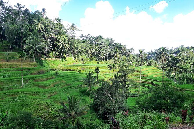 Best of Ubud - All Inclusive - A Deep Dive into Ubud’s Top Attractions