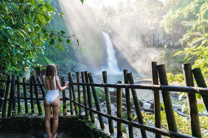 Best of Ubud Attractions: Private All-Inclusive Tour - An In-Depth Look at the Ubud Guided Experience
