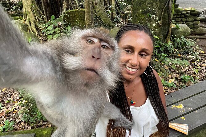 Best of Ubud : Elephant Cave Temple, Monkey forest, Rice Terrace - Key Points