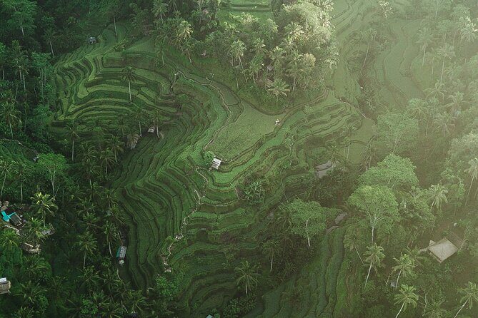 Best of Ubud Full Day Private Tour - Authenticity and Satisfaction: What Travelers Say